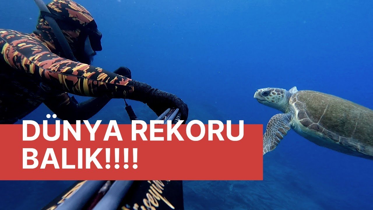 ZIPKINLA BALIK AVI | AKYA | GRİDA | ŞEYTAN | SPEARFİSHİNG ...