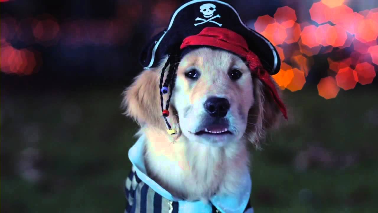 Spooky Buddies: Tricks For Treats - YouTube