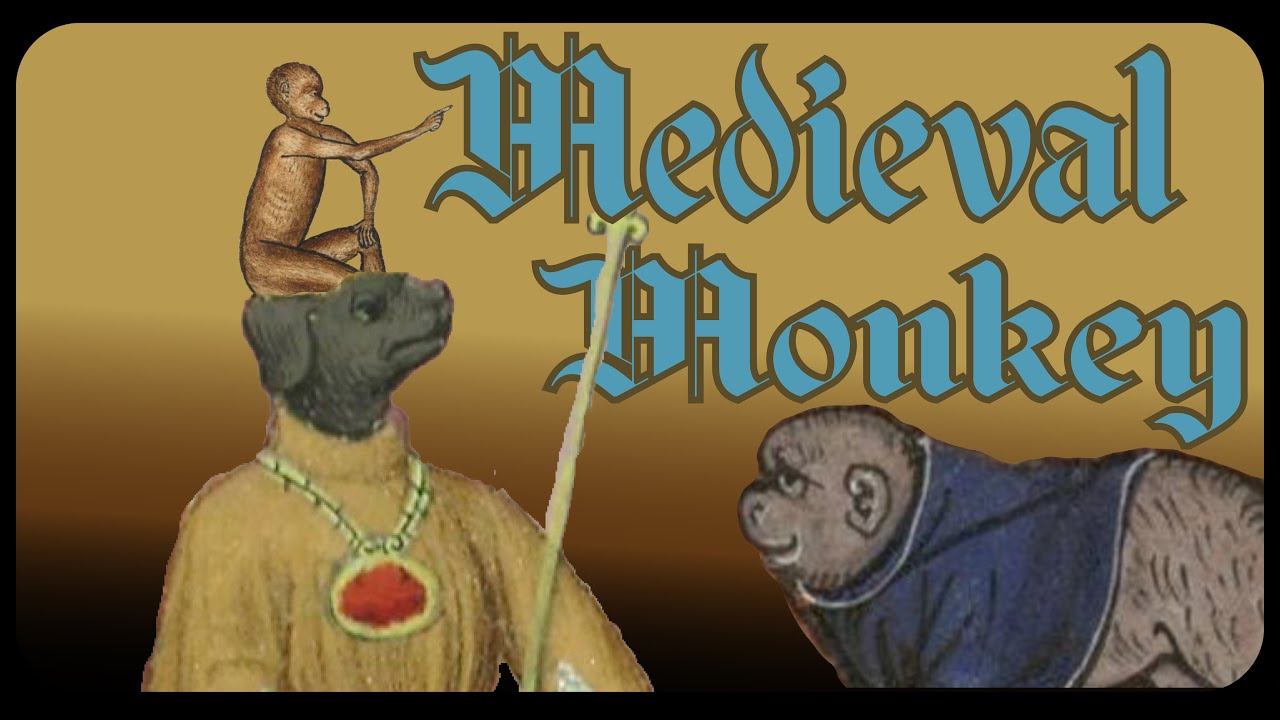 The Medieval Monkey | The Bestiary - YouTube