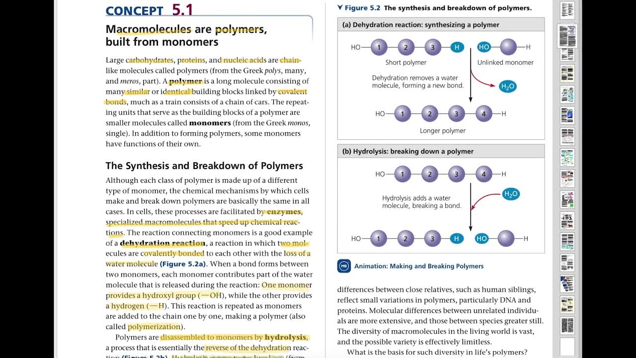 Chapter two- part 1 - YouTube