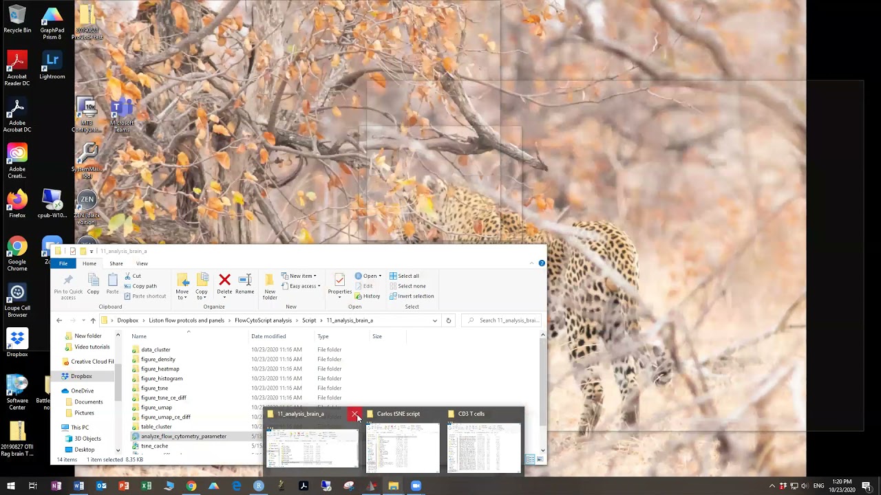 03 Importing data into R - YouTube