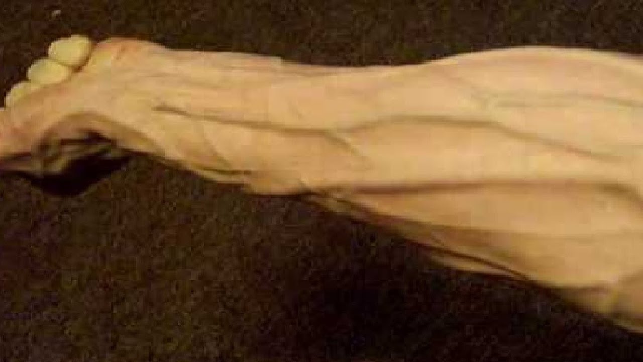 THE MOST INTENSE VEINY ARM WORKOUT in 3 MINUTES - YouTube