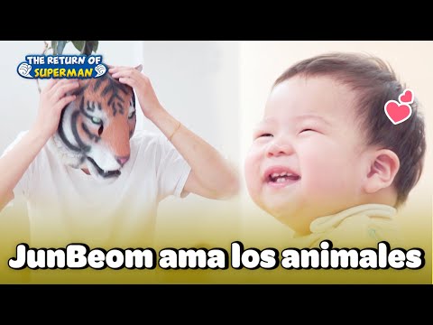 [ESP SUB] JunBeom💚 me encantan los animales 🐯🐨🐻‍❄️ 👶🏻🍼 | The Return of Superman | KBS 23.06.25