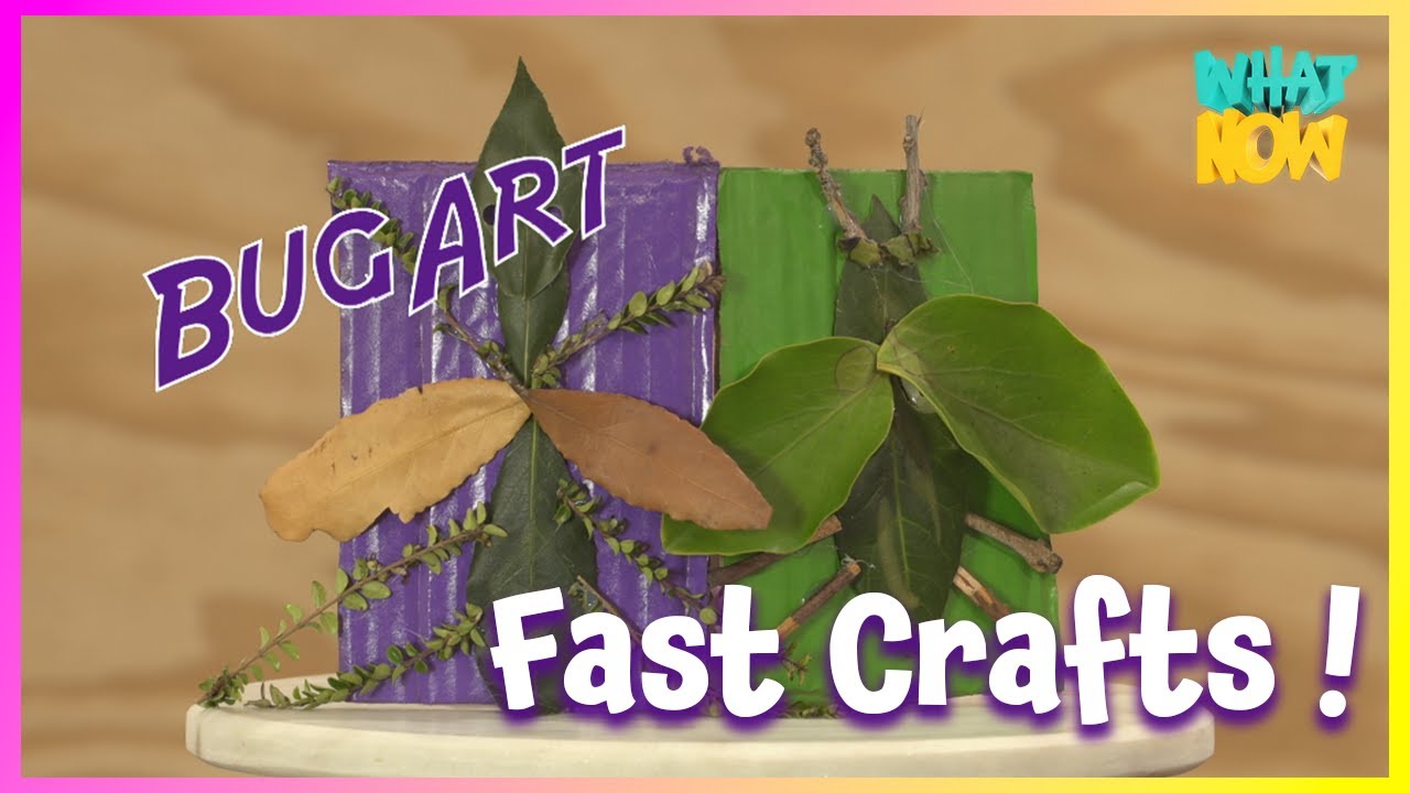 Fast Crafts - Nature Bug Art | Fast Crafts - YouTube