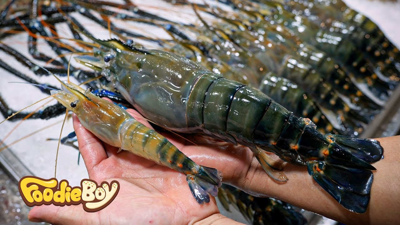 Longer than your hand! Grilled Giant River Prawns in Bangkok - YouTube