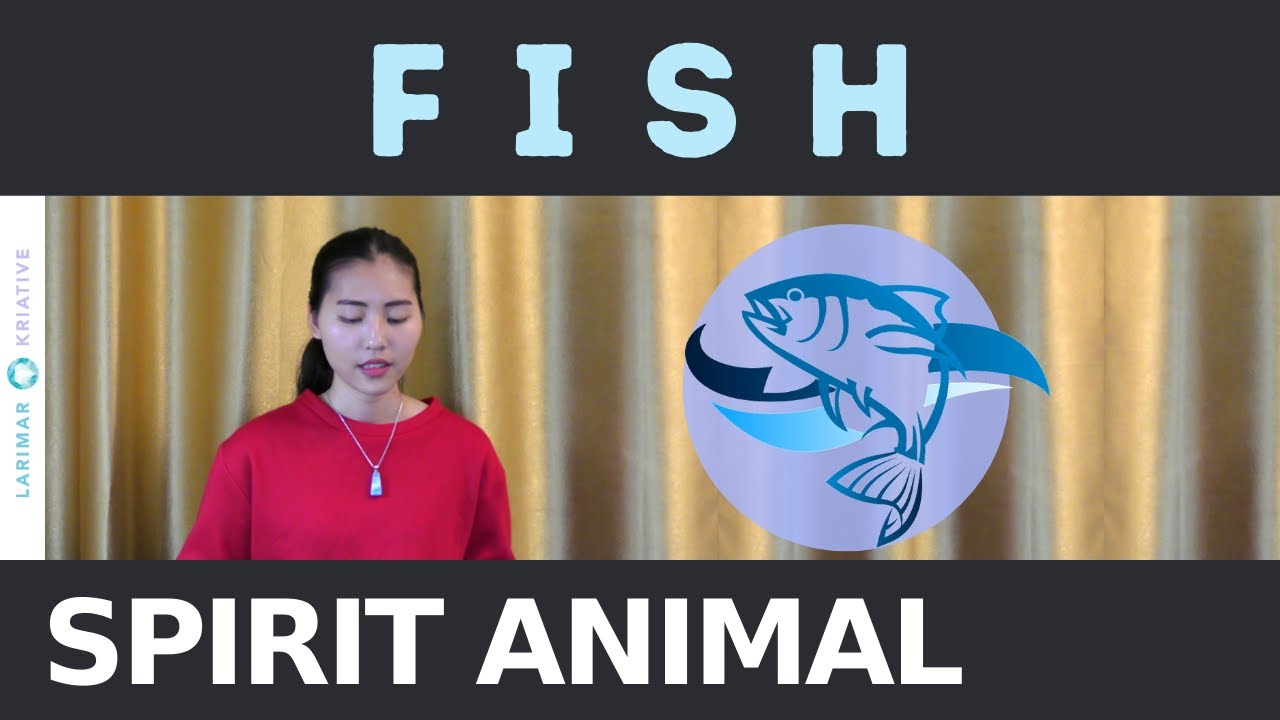Spirit Animal Fish - YouTube