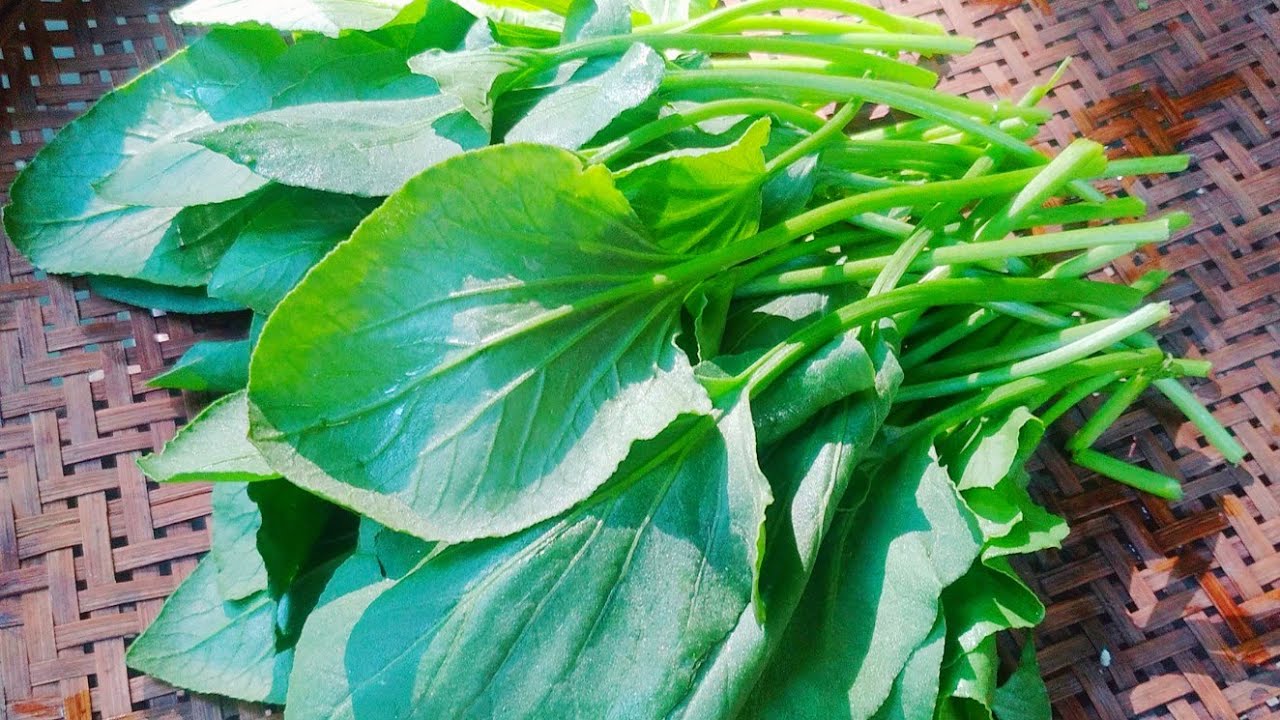চুকা শাকৰ জুতি | Suka Xaak Recipe | Suka xaak | Suka Haak Recipe ...