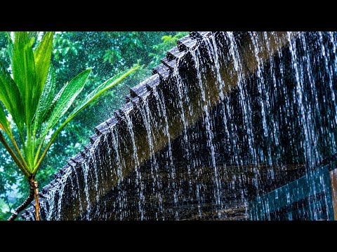 5 Dakikada Uykuya Dalın | Sac Çatıya Vuran Şiddetli Yağmur Sesi 🌧️ Derin Uyku ve Stres Giderme