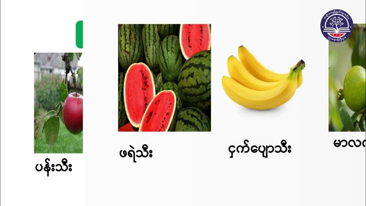 Grade 4 မြန်မာဖတ်စာ၊ သင်ခန်းစာ ၁၃ ဝေါဟာရကြွယ်ကြွယ်ကစားမယ်၊ စာမျက်နှာ