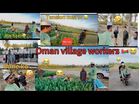 Farmer 🧑‍🌾 live in Oman farmer lives in Oman majra 🇴🇲🇴🇲 - YouTube