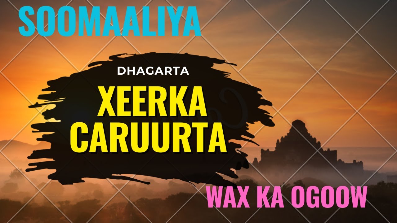 Dhagarta Xeerarka Caruurta Sh Cusmaan #trading #ciyaalxamar #automobile ...