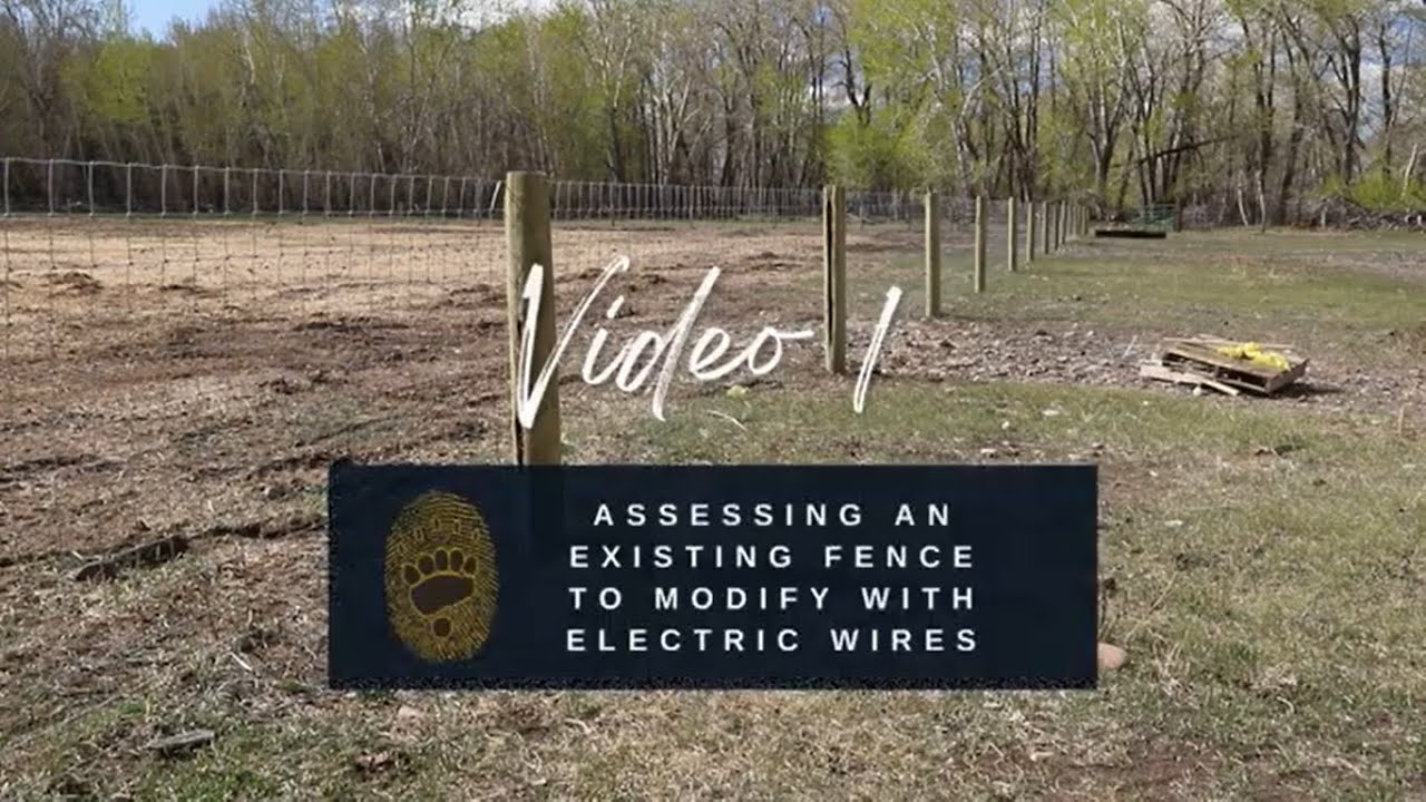 Electrifying Existing Fence for Bears: Assessing a Fence for ...