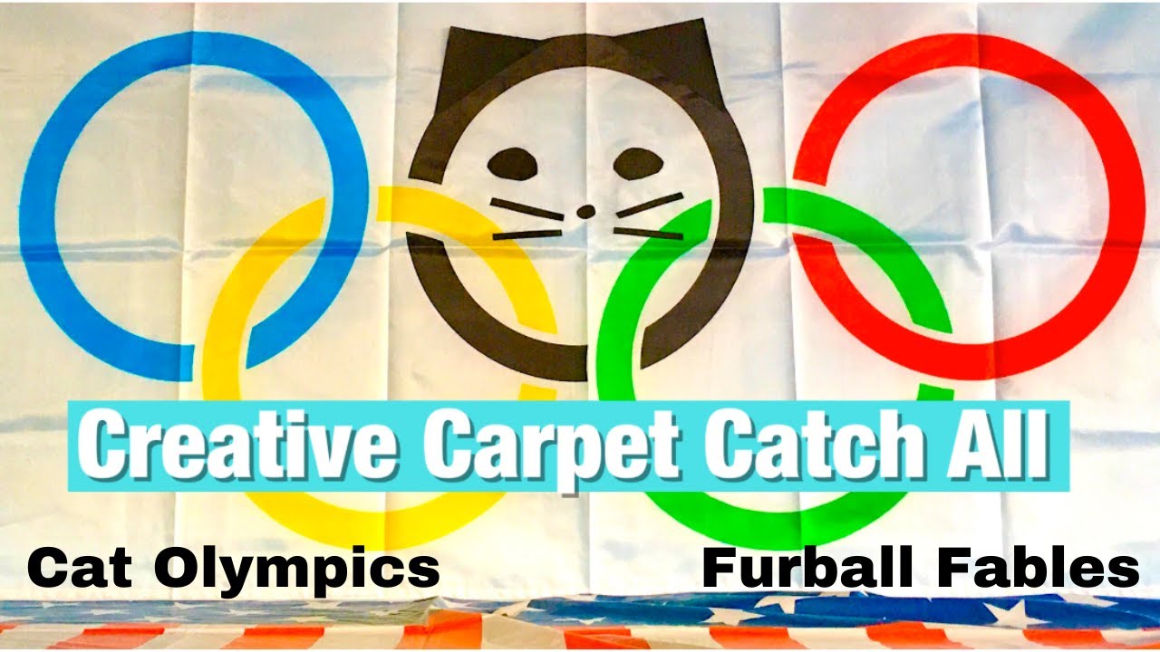 Cat Olympics - Creative Carpet Catch All - YouTube