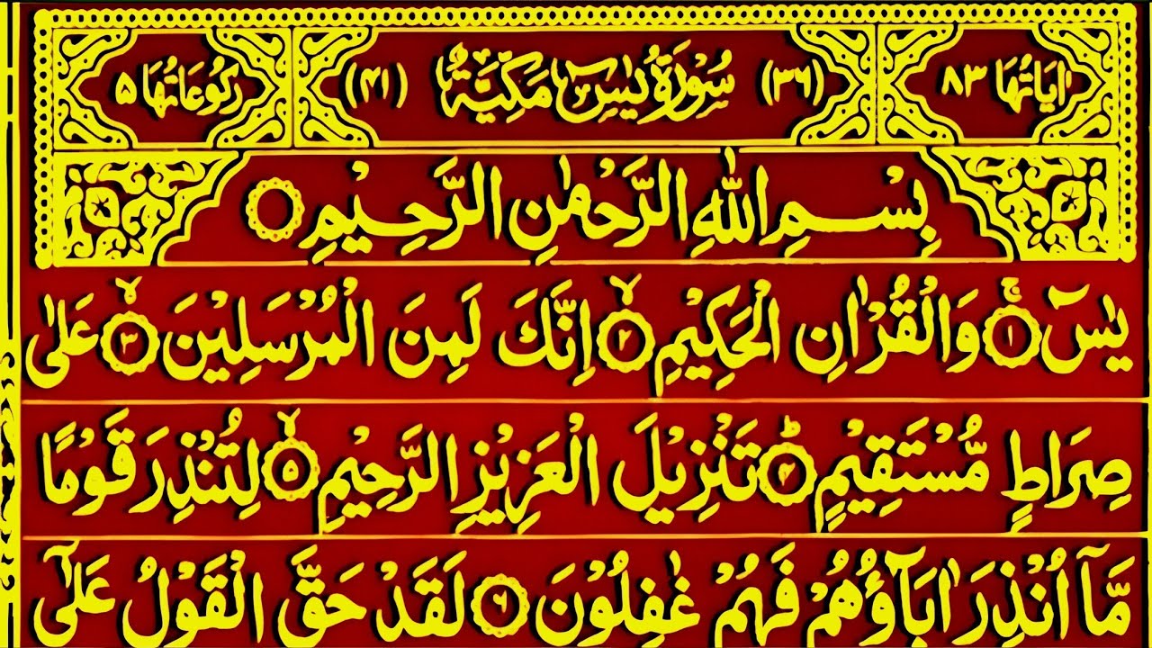 Surah Yasin Surah Rahman | Beautiful Recitation Surah Yaseen Surah ...