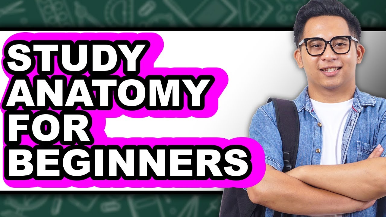 How to Study Anatomy for Beginners - Easy Guide - YouTube