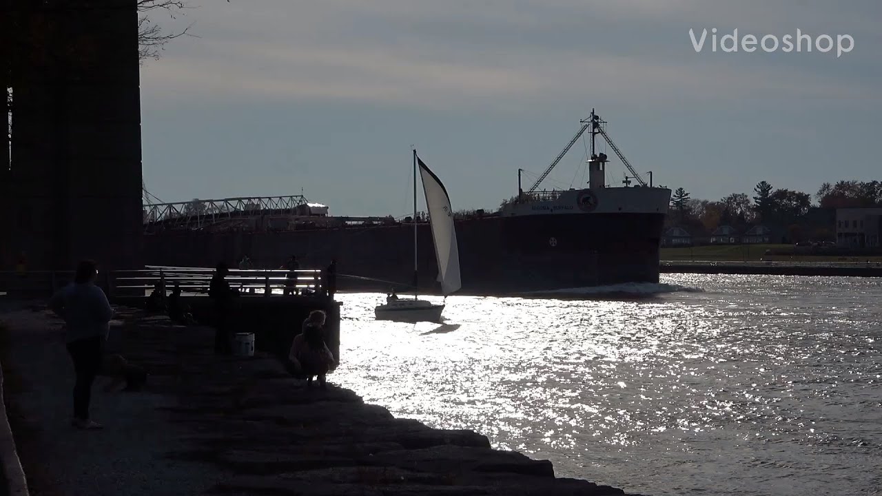 Algoma Buffalo ship & sailboats. St Clair river. Sarnia, Ontario ...