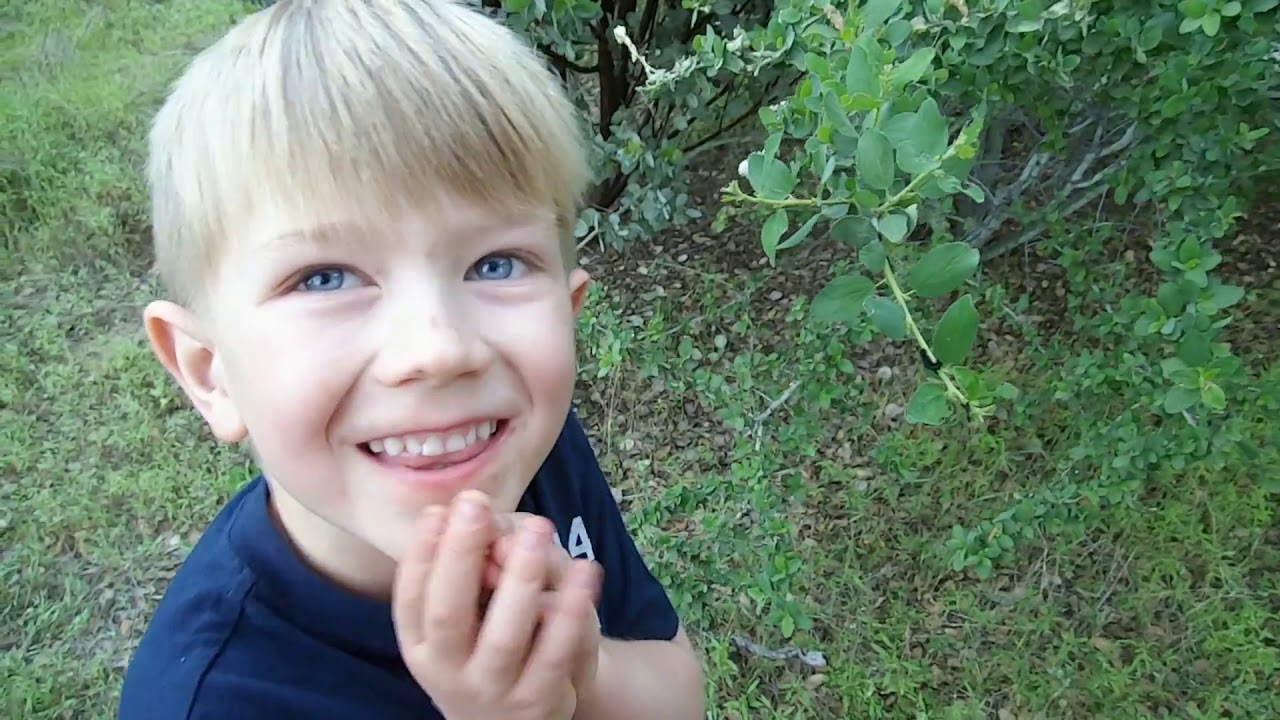 Can We Keep Him YouTube can-we-keep-him-youtube