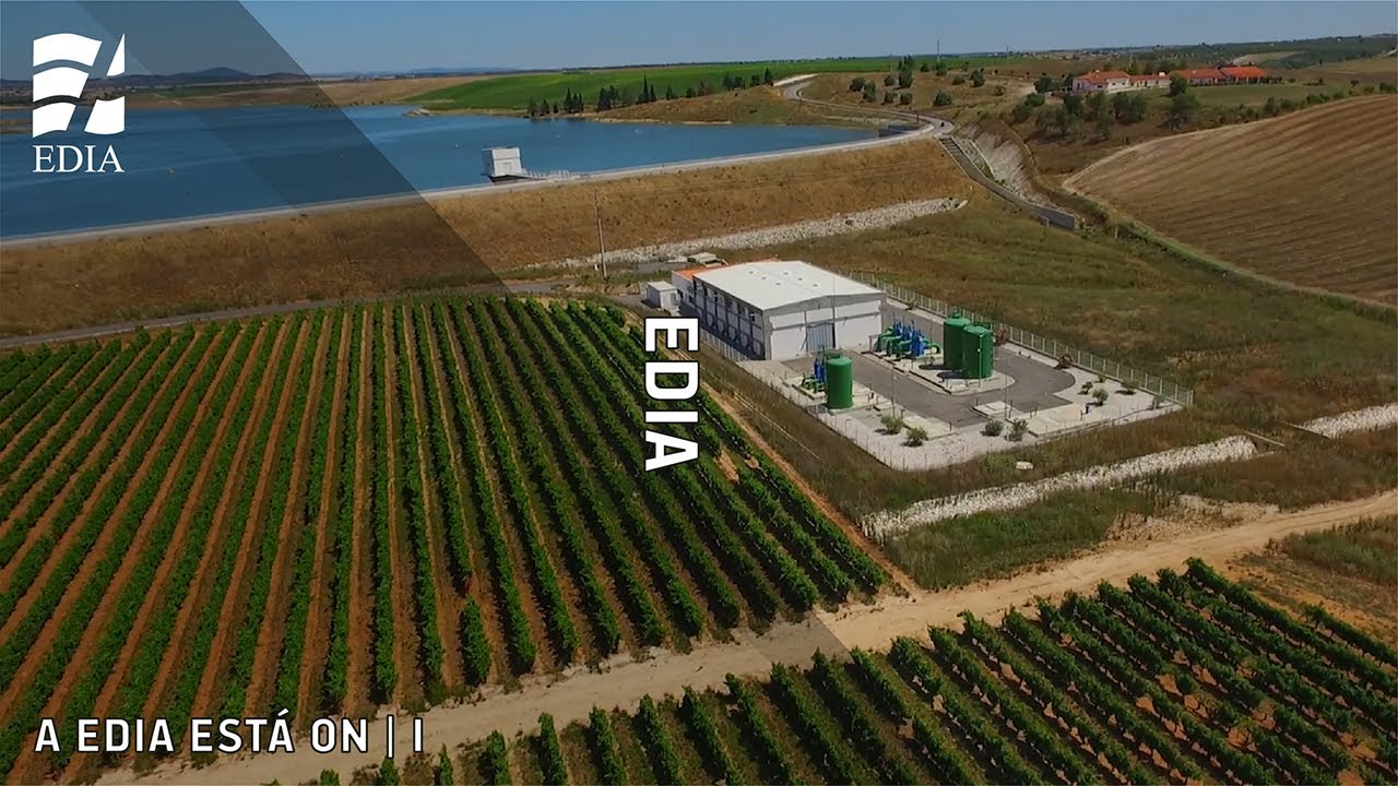 EDIA está ON video II - YouTube