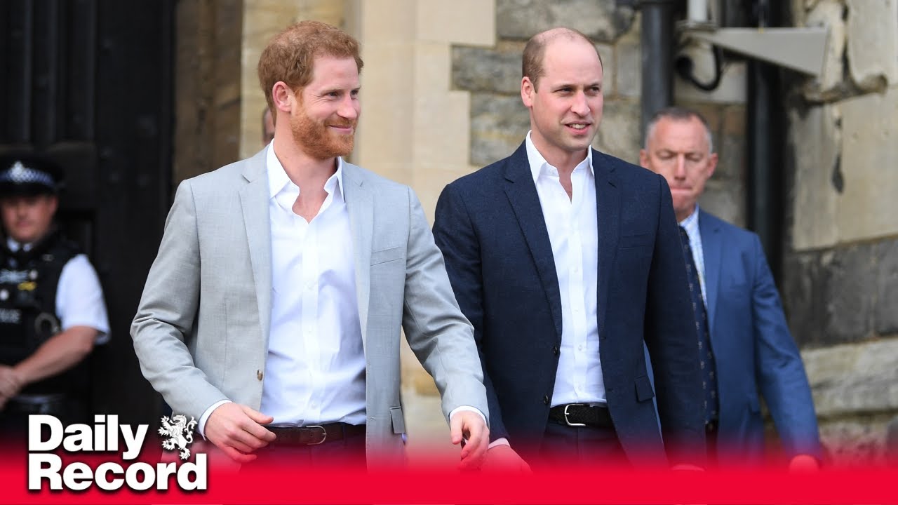 Prince Harry 'physically attacked' by Prince William in Meghan row, new ...