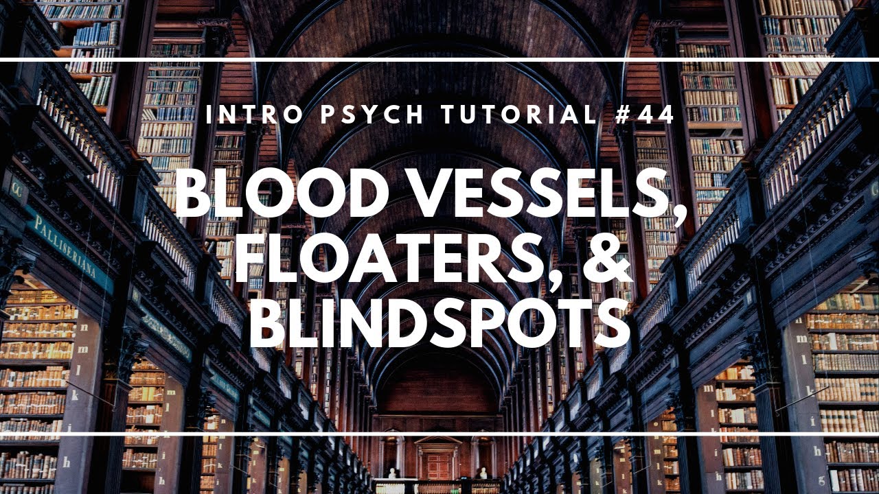 Blood Vessels, Floaters, and Blind Spots (Intro Psych Tutorial #44 ...