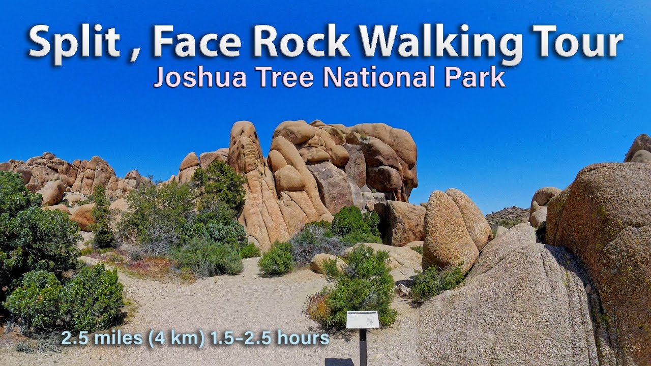 Joshua Tree National Park.Split,Face Rock Walking Tour - YouTube