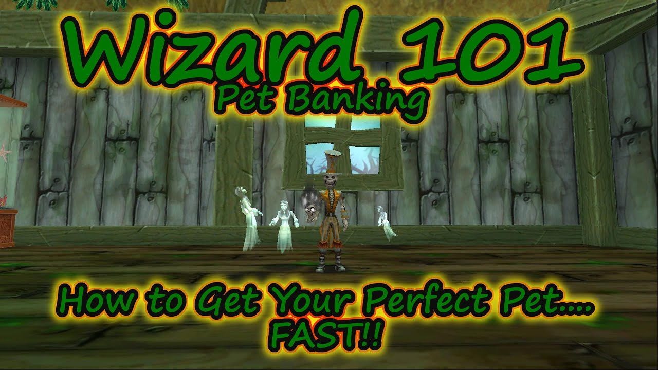 Wizard101: The Pet Bank - How to get the Perfect Pet for you - Fast ...
