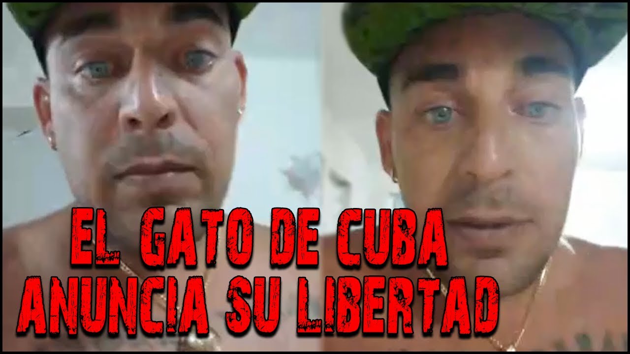 EL GATO DE CUBA ANUNCIA SU LIBERTAD ‼ ALAIN PAPARAZZI CUBANO ÚLTIMA ...
