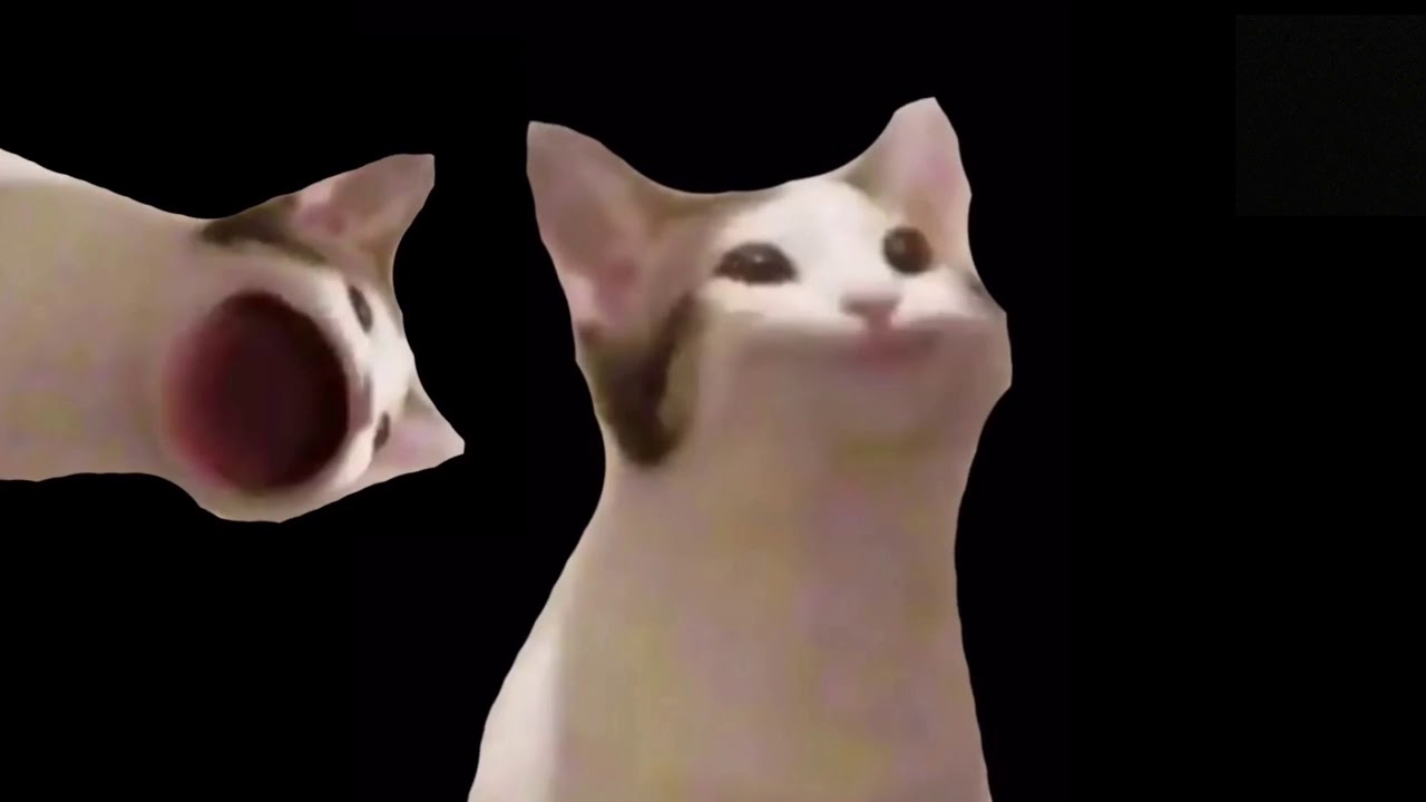 Pop cat sings caramelldansen! - YouTube
