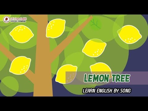 LEMON TREE (Lyrics + Transcription) | Fool's Garden - YouTube