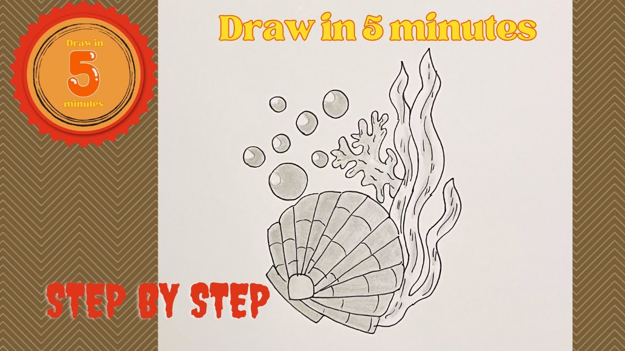 How to draw | how to draw for beginners | how to draw a seashell easy ...