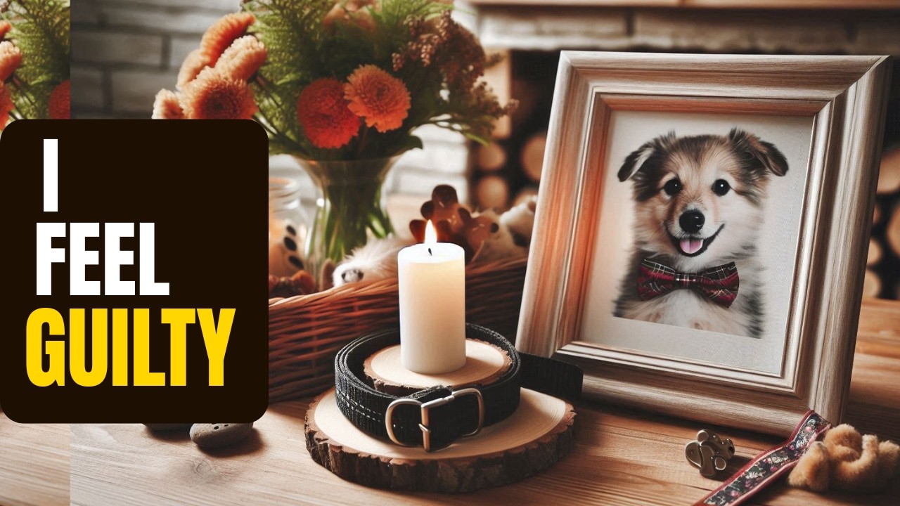 Did I Do the Right Thing? Guilt After Pet Loss - YouTube