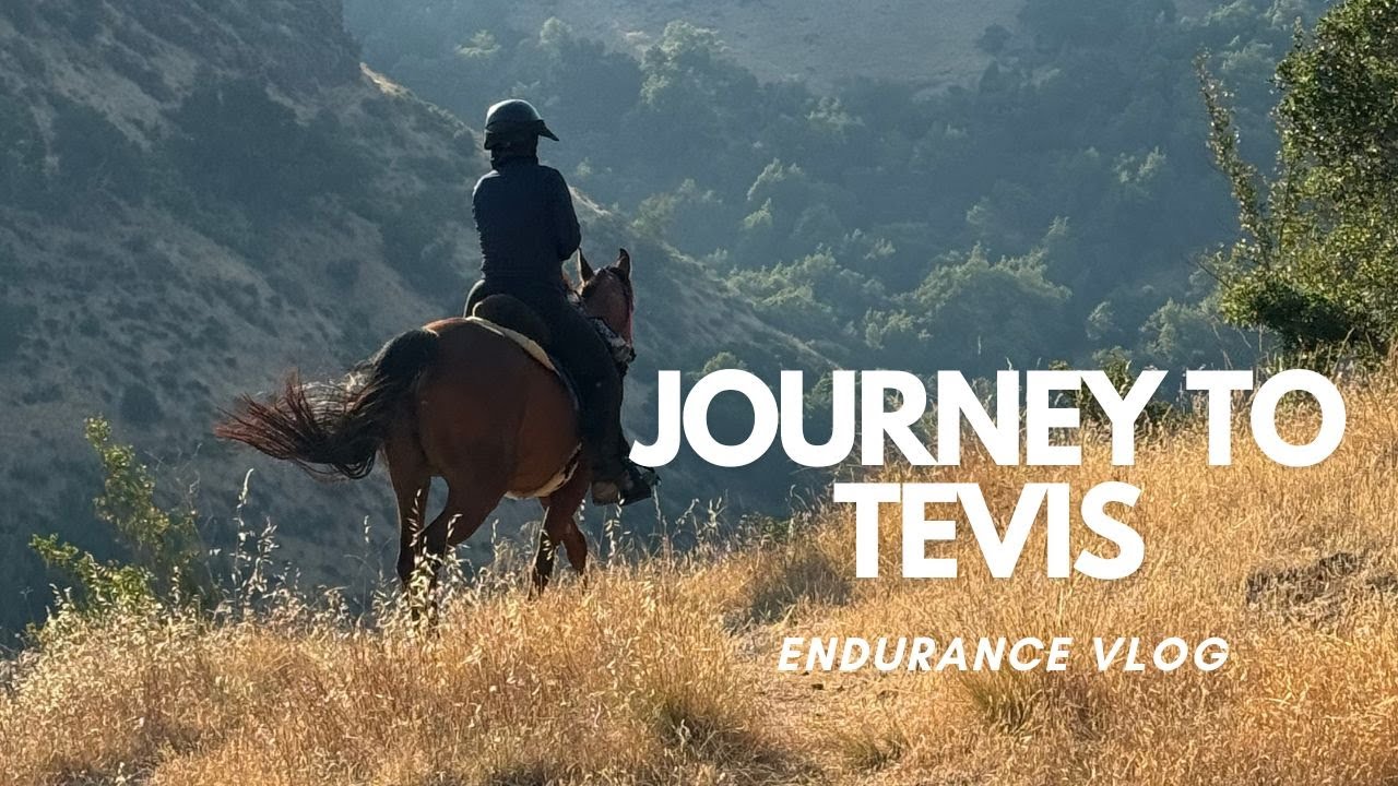 Journey To Tevis: Post California Trip Re-Cap & Skyline Wilderness Park ...