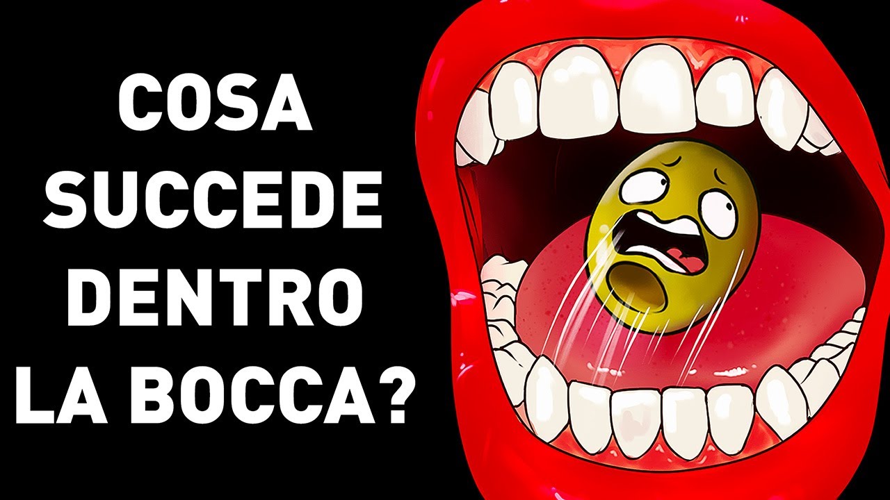 Un Viaggio All'Interno Della Bocca - YouTube