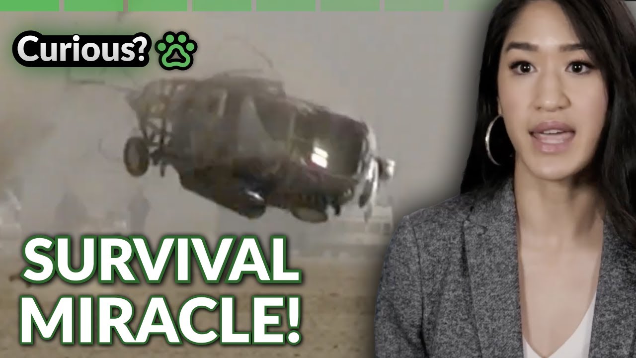 The Science Behind Miracle Survivals | I Got Lucky - YouTube