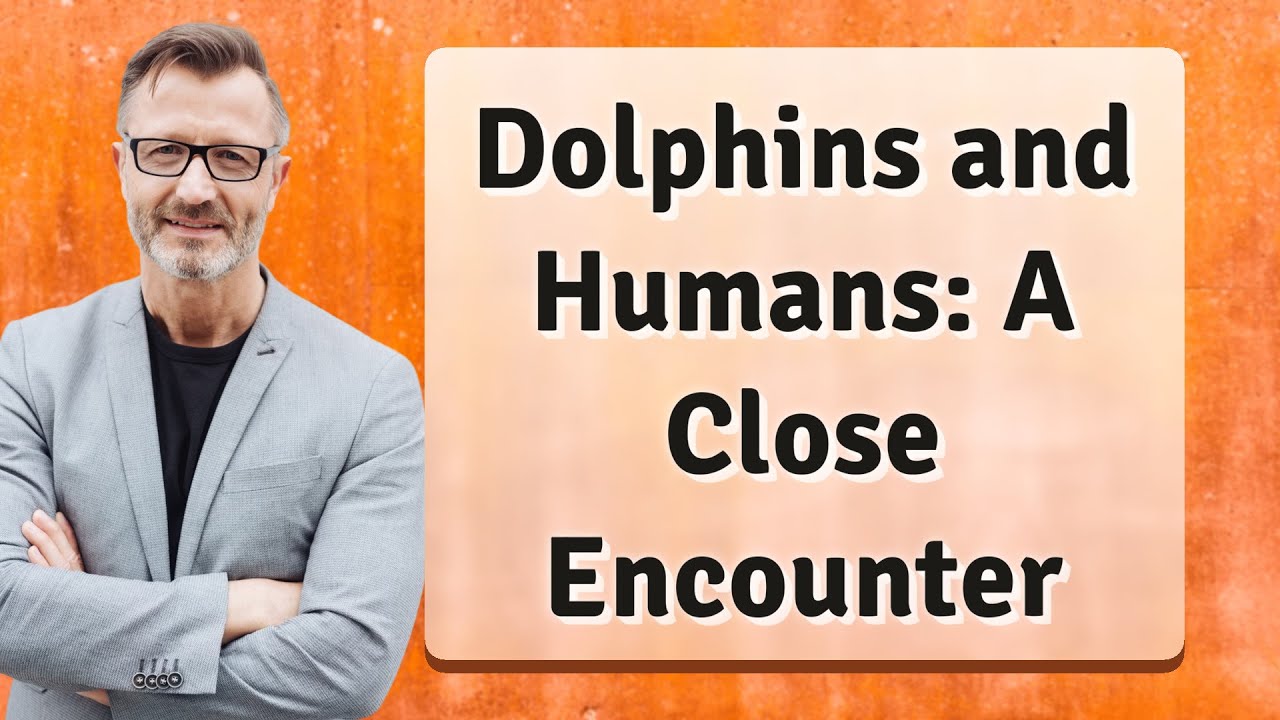 Dolphins and Humans: A Close Encounter - YouTube