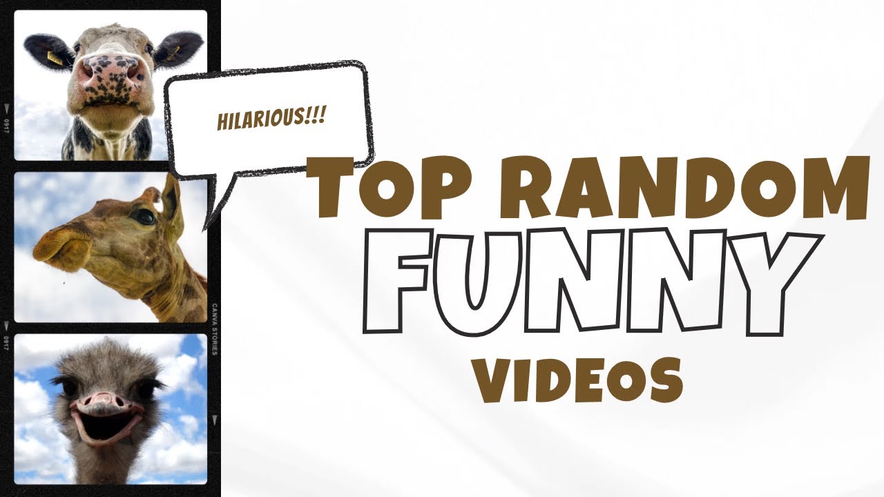 Top completion of complete RANDOM videos - #1k - YouTube