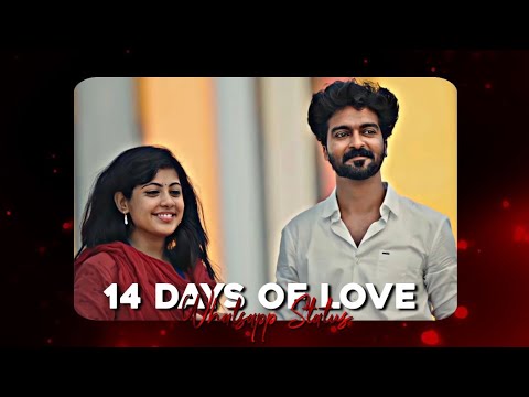 14 Days Of Love💕 | Whatsapp Status