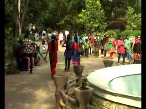 Kanan Pendari Animal Zoo Park Bilaspur A Beautiful Tourist Place ...