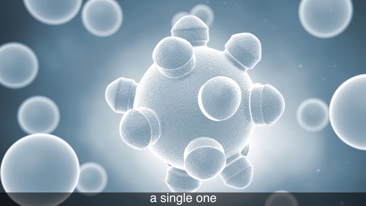 PreLipid Evidence based bioactives for Dyslipidemia - YouTube