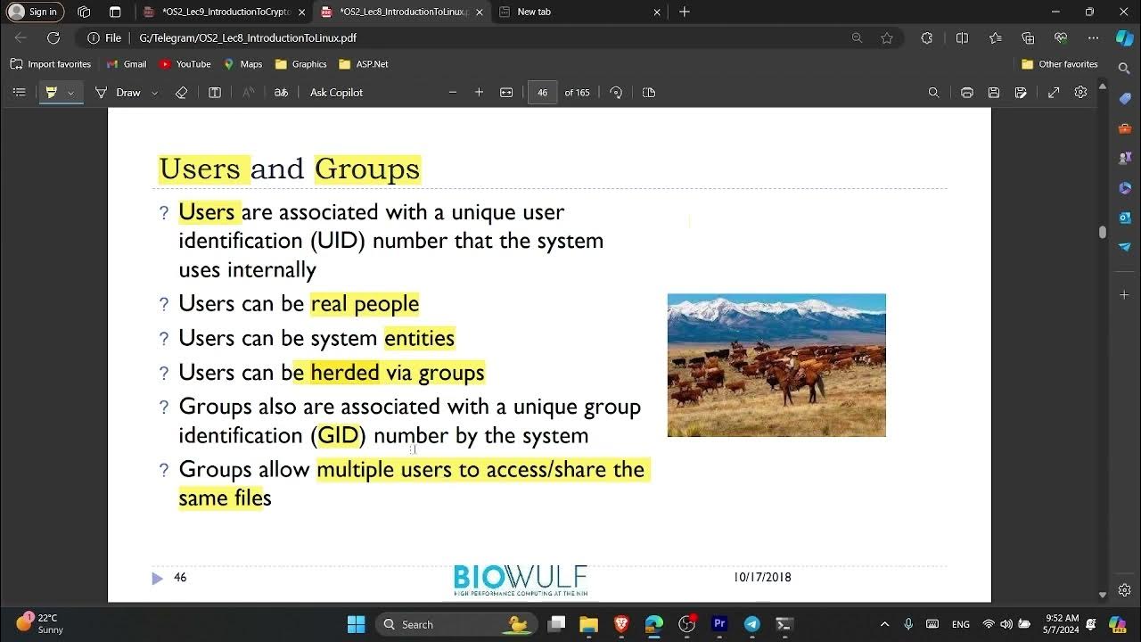 Lecture 8: Linux Part 3 - YouTube