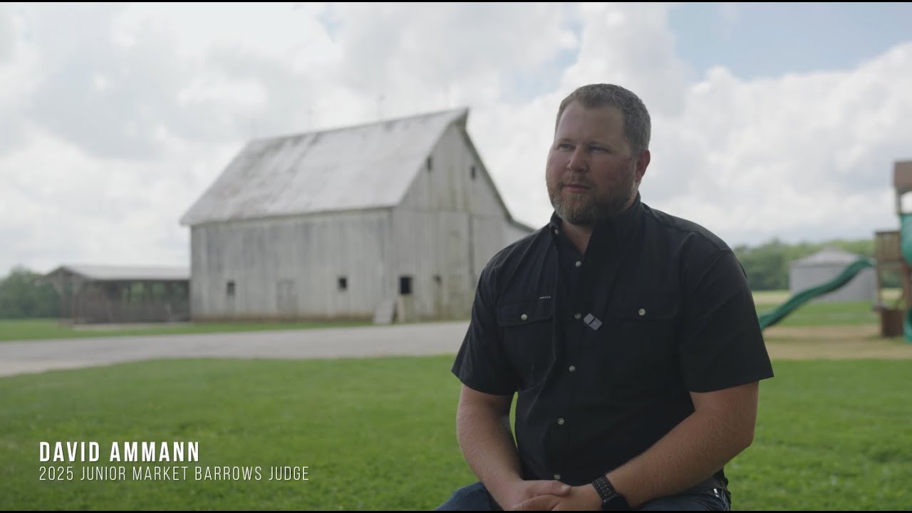 Arizona National: 2025 Junior Market Barrows Judge - David Ammann - YouTube