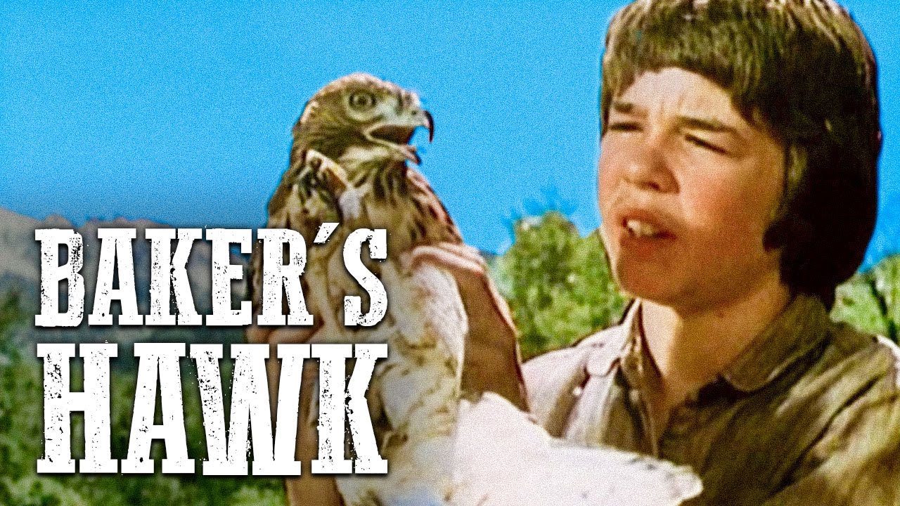 Baker's Hawk | CLINT WALKER | Free Cowboy Film - YouTube