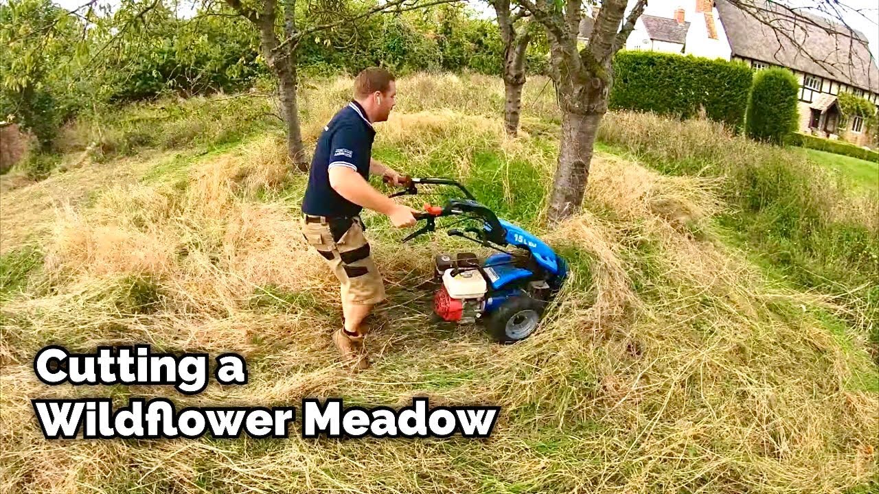 Cutting and Clearing a Wildflower Meadow by Hand - Timelapse - YouTube