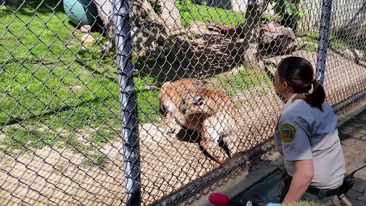 OC ZOO 2016 - YouTube
