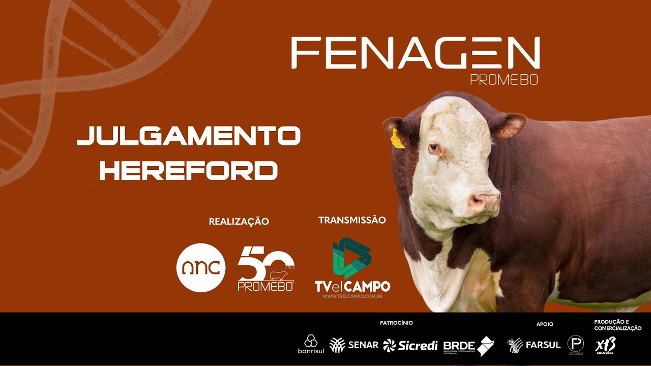TV El Campo _ FENAGEN 2024 - Julgamento HEREFORD - 02/08/2024 - YouTube