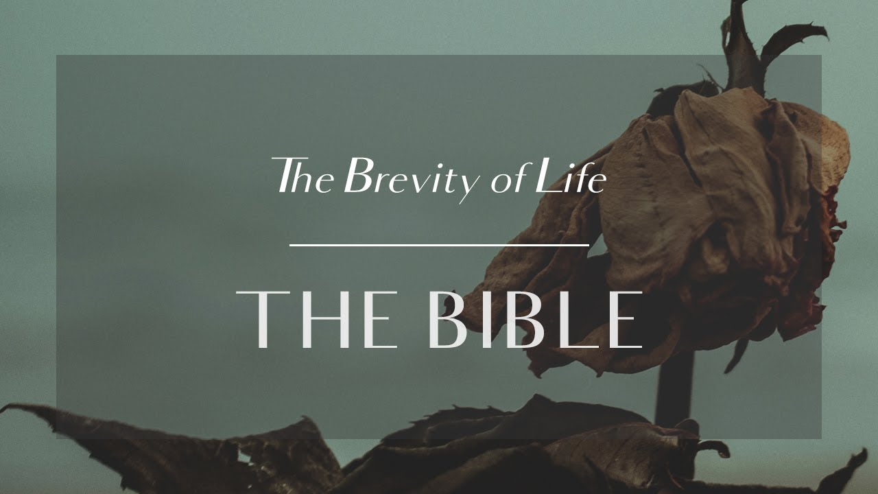 The Brevity of Life | Your Quiet Time with the Word of God | Daily ...