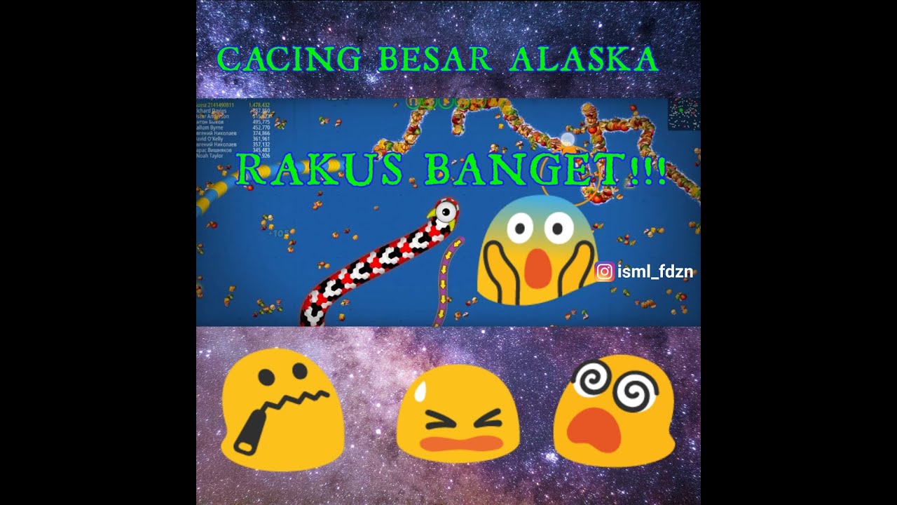 CACING BESAR ALASKA RAKUS BANGET!!! | game viral saat ini - YouTube