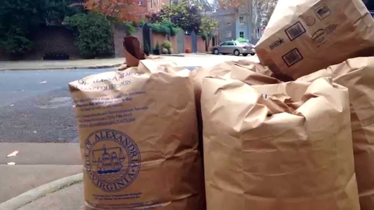 City of Alexandria Leaf Collection Program - YouTube