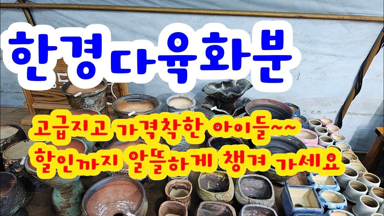 2023년 10월 14일273회차 영상 한경다육화분 수제공방분 다육화분 예쁜화분 다육이 다육생활 화분 공방분
