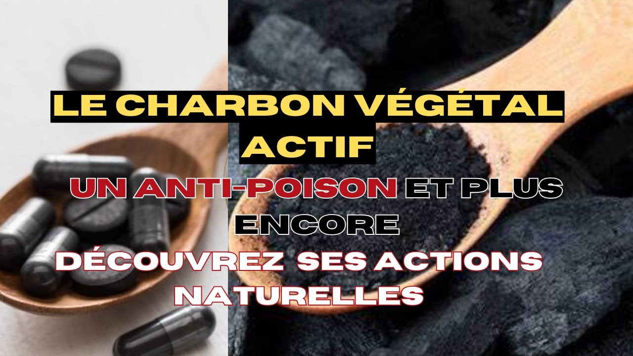 🔴Se soigner avec le charbon végétal actif, un anti poison efficace et ...